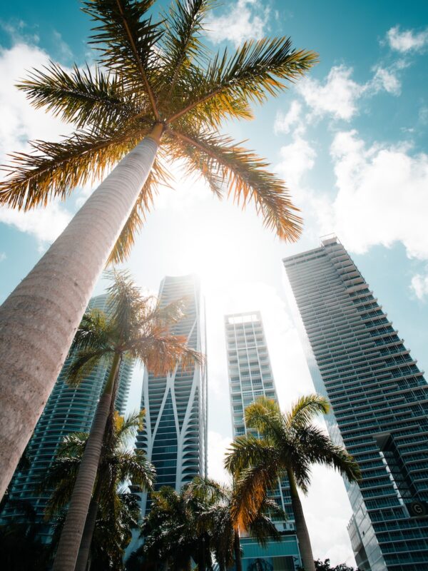Discover the Most Hispanic Areas of Miami: A Guide to the City's ...